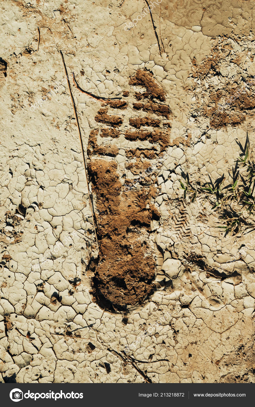 Muddy Boot Print