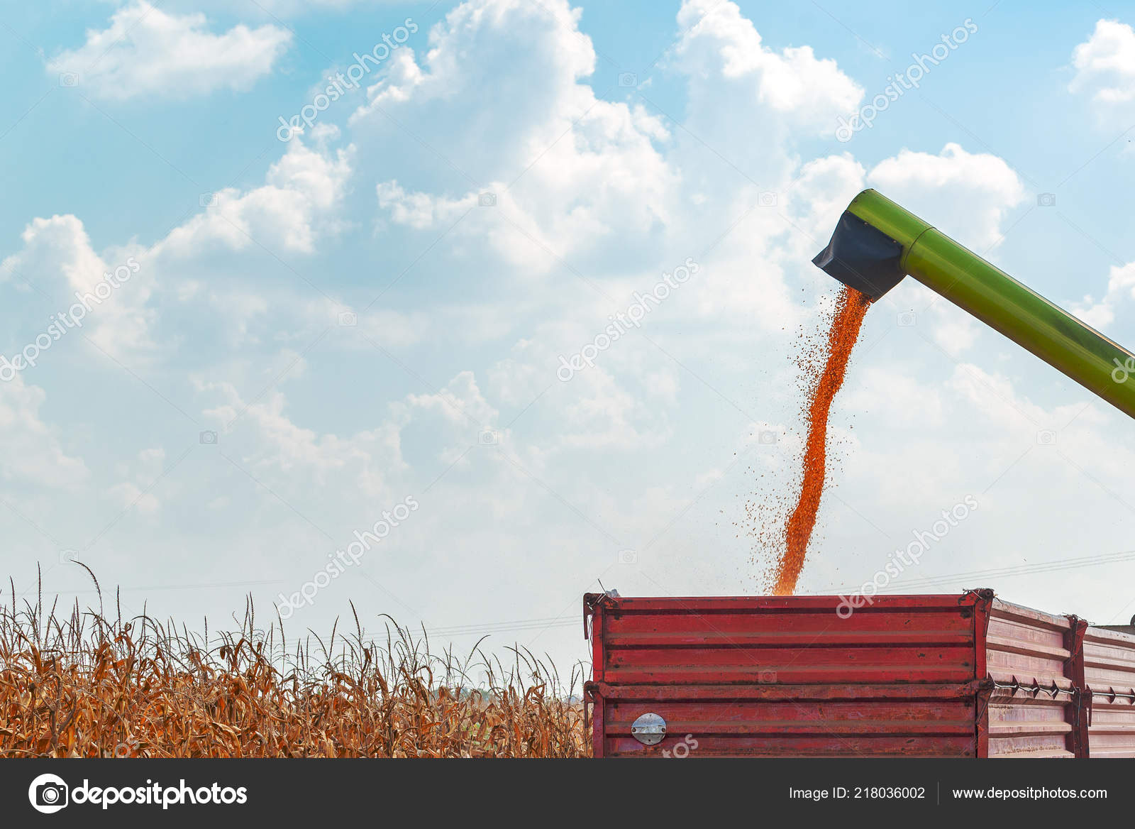 Combine Harvester Unloader Pouring Corn Grains Tractor Cargo Cart ...
