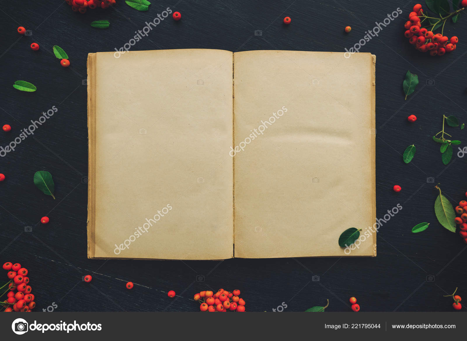Vintage Open Book Flat Lay Mock Copy Space Dark Black — Stock Photo ...