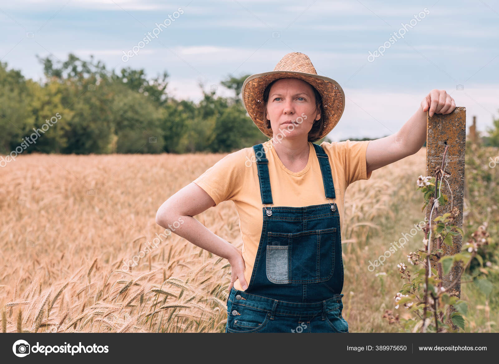 Female Farmer Posing Ripe Barley Field Just Harvest Proud Confident ...