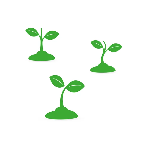 Plant icon Stock Photos, Royalty Free Plant icon Images | Depositphotos