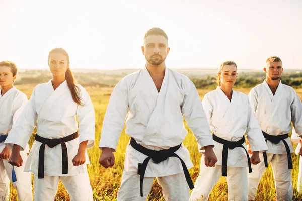Karate group Stock Photos, Royalty Free Karate group Images ...