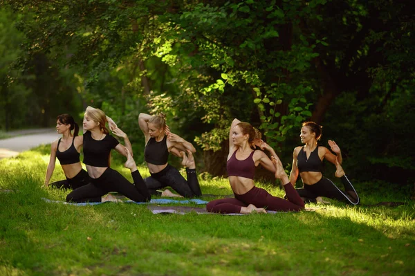 Yoga group outdoors Stock Photos, Royalty Free Yoga group outdoors ...