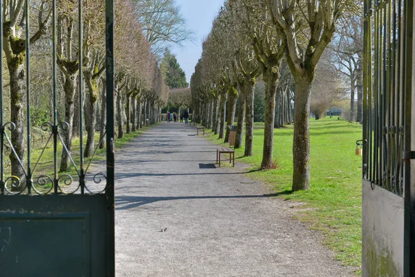 Wrought Iron Gate Seen Close Blue Sky Stock Photo by ©sanddebeautheil ...
