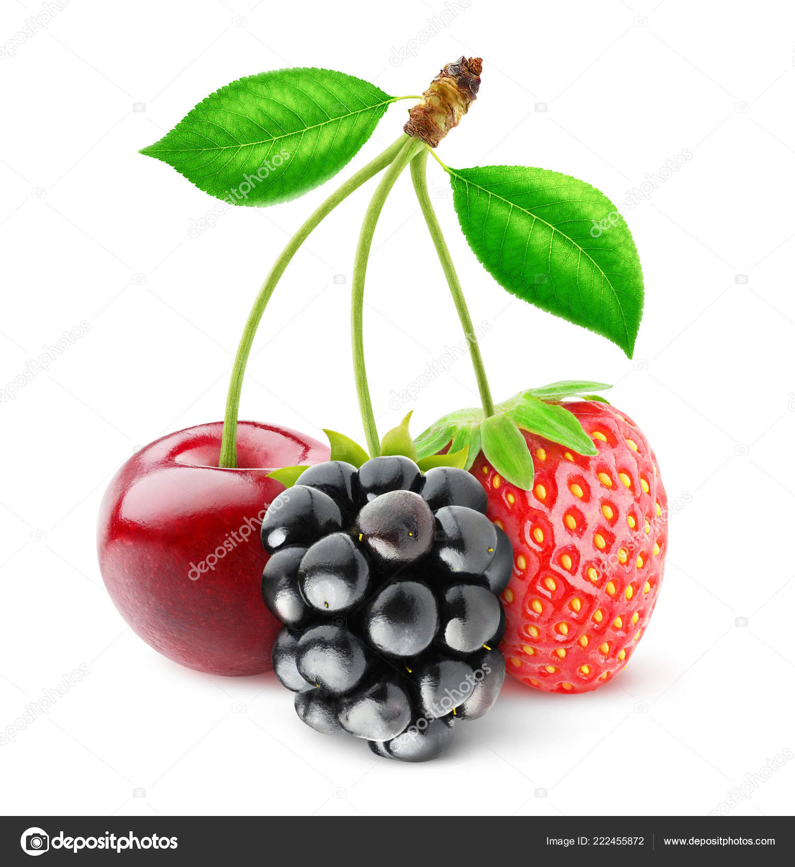 Isolated Berries Blackberry Cherry Strawberry Fruits Three One Concept ...