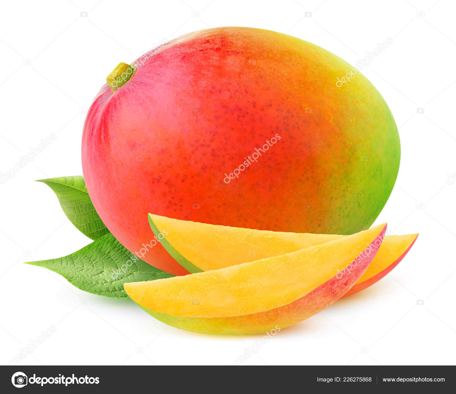 Isolated Mango One Whole Mango Fruit Leaves Isolated White Background ...