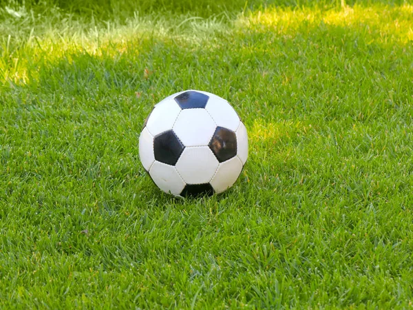 Soccer ball on grass Stock Photos, Royalty Free Soccer ball on grass ...