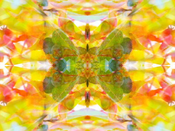 fancy symmetrical patterns in a mirror kaleidoscope - Stock Image ...