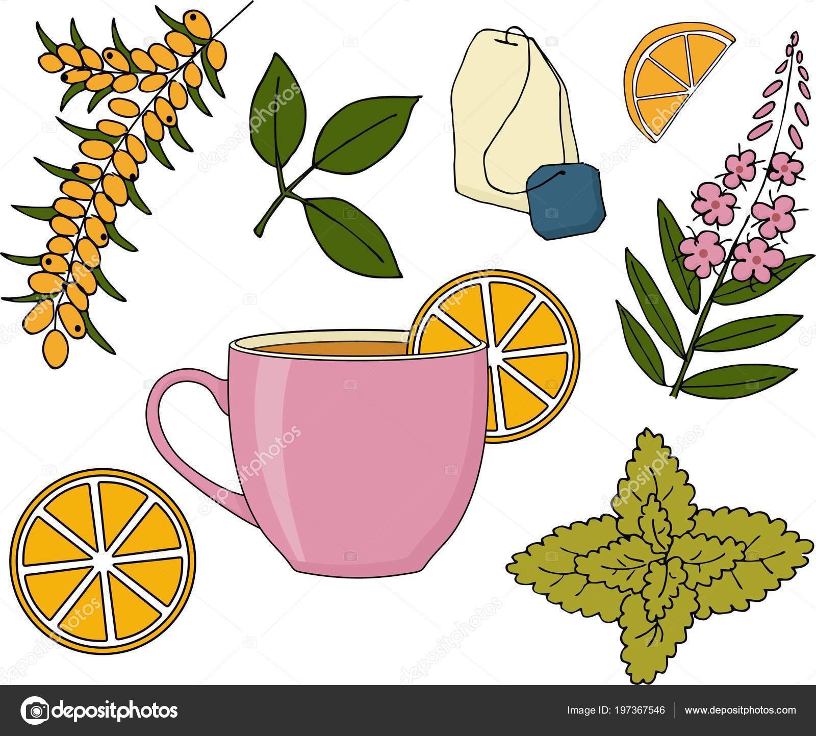 Herbal tea set Stock Illustration by ©abrakadabra #197367546