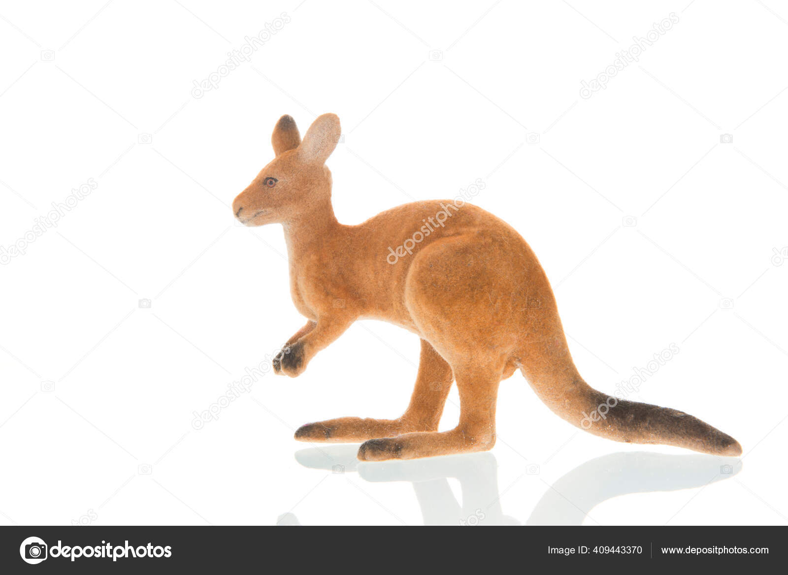 Miniature Kangaroo