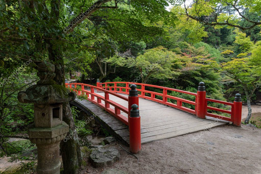 Bosque en el Monte Misen, isla de Miyajima, Japón. Monte Misen es la ...