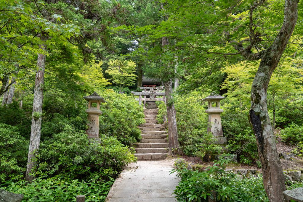 Bosque en el Monte Misen, isla de Miyajima, Japón. Monte Misen es la ...