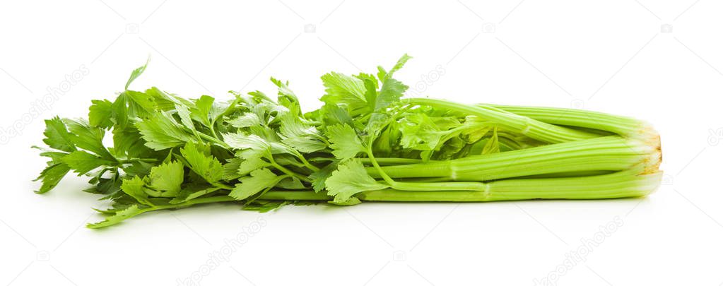 Manojo de tallo de apio fresco. 2023