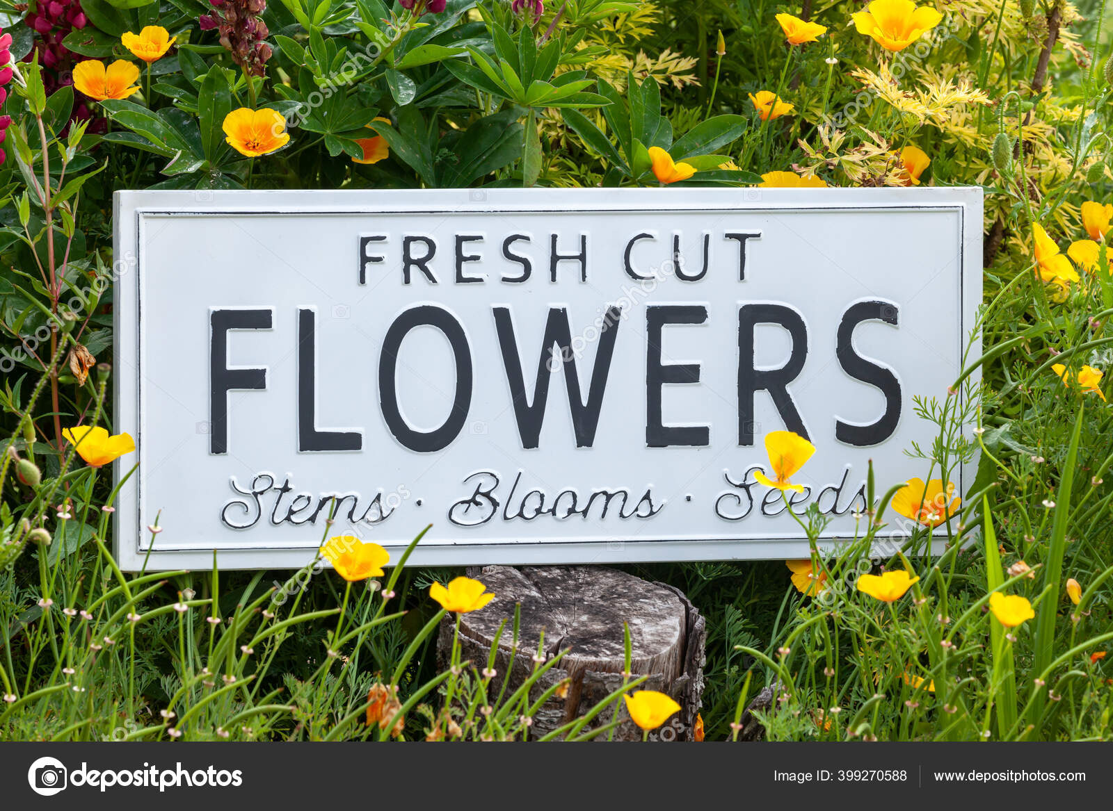 Garden Bed Signs