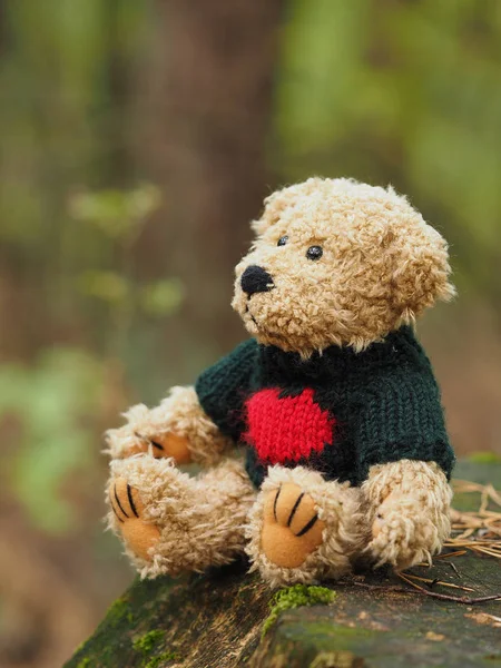 Funny Teddy Bear Forest — Stock Photo © max777 #301469816