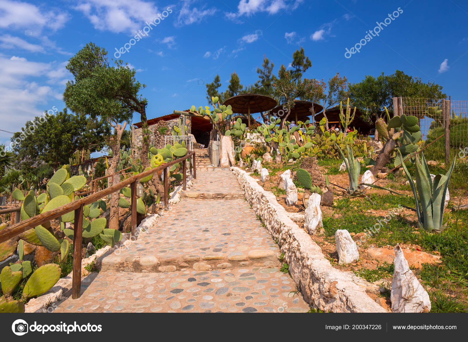 Pathway Cactus Garden Elafonissi Beach Crete Greece Stock Photo by ...