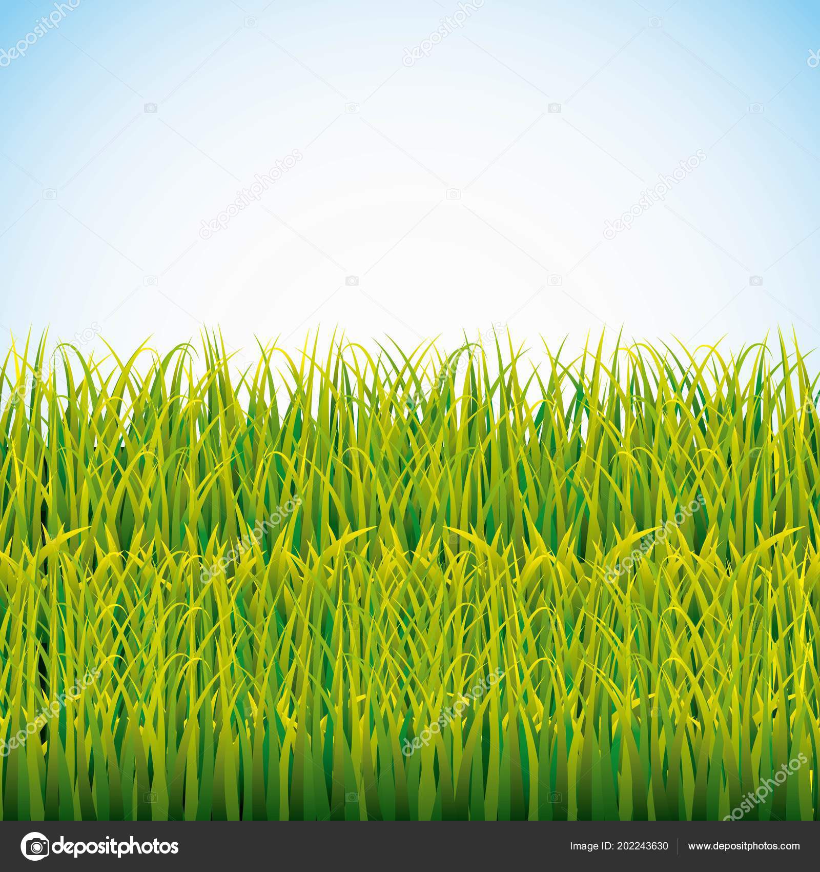 Nature grass field background Stock Vector by ©yupiramos 202243630