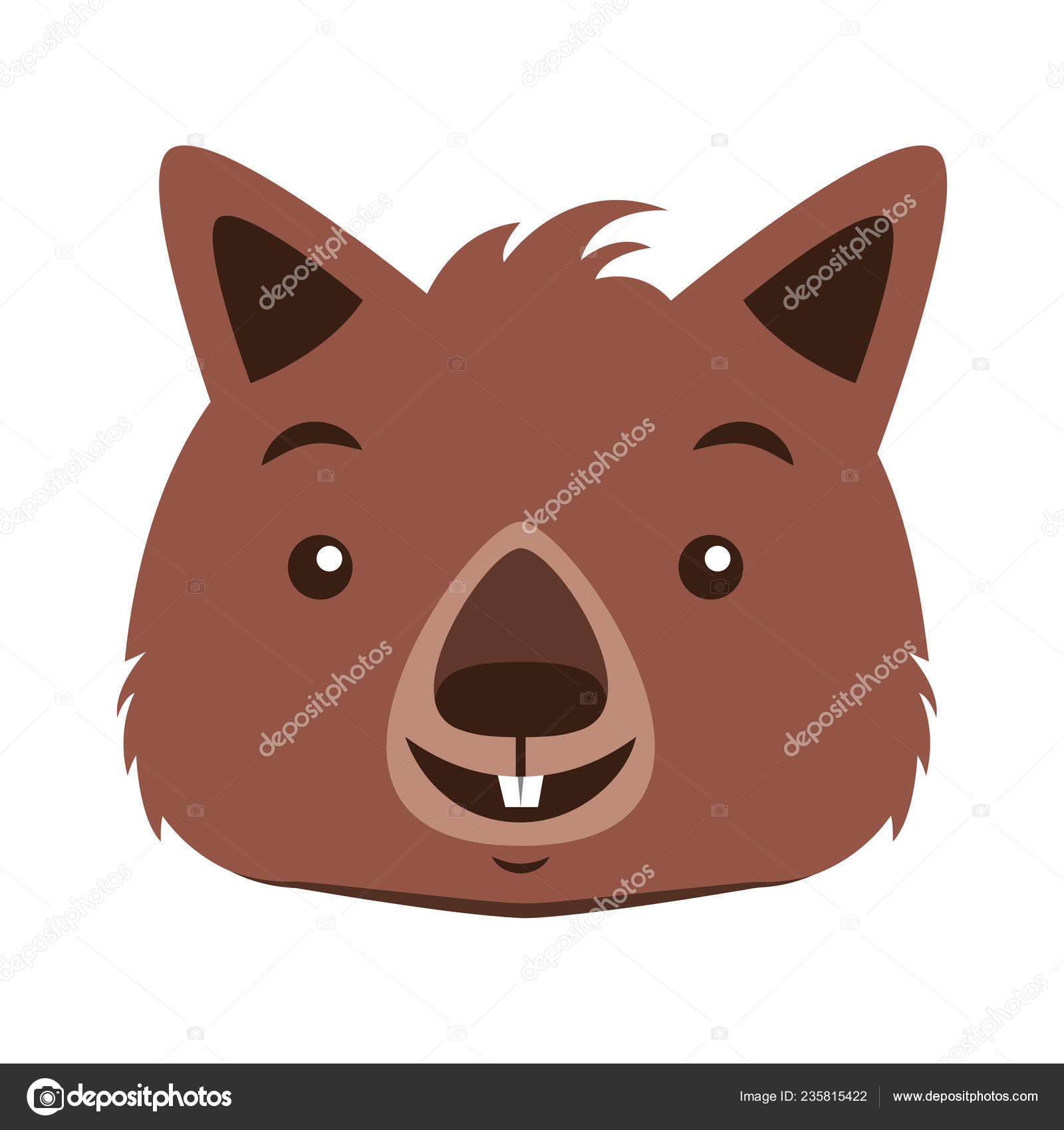 Wombat face australian wildlife white background Stock Illustration by ...