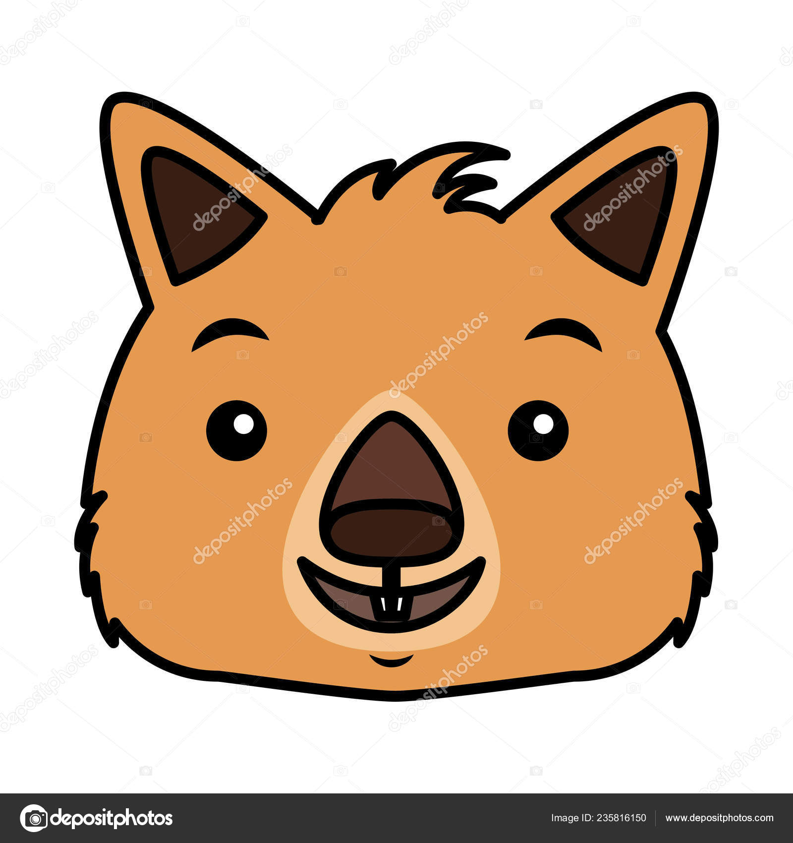 Wombat face australian wildlife white background Stock Vector by ...