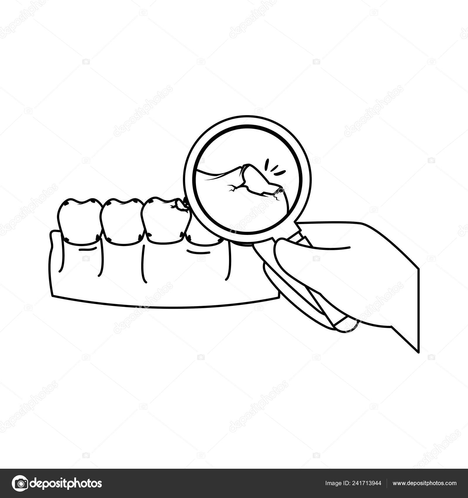 Human teeth with magnifying glass Stock Vector Image by ©yupiramos ...
