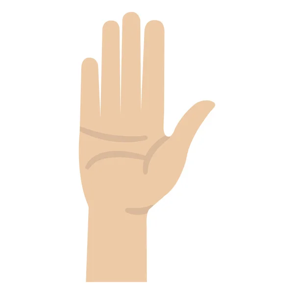 Children's hands, palms forward — Stock Vector © AlfaOlga #6126689