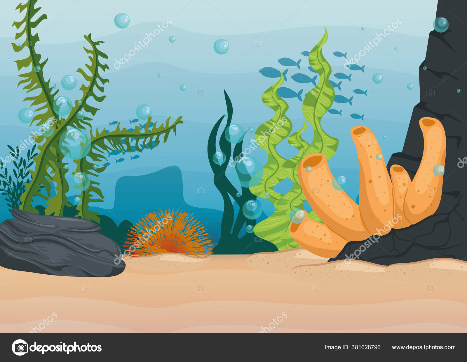 Recife Subaquatico Oceano Recife Pedra Do Valado, Um Tesouro Submarino