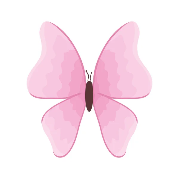 Pink Butterfly Drawing
