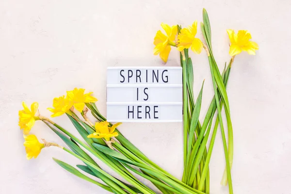 Happy friday spring Stock Photos, Royalty Free Happy friday spring ...