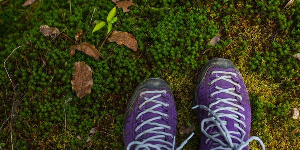 Wander feet Stock Photos, Royalty Free Wander feet Images | Depositphotos