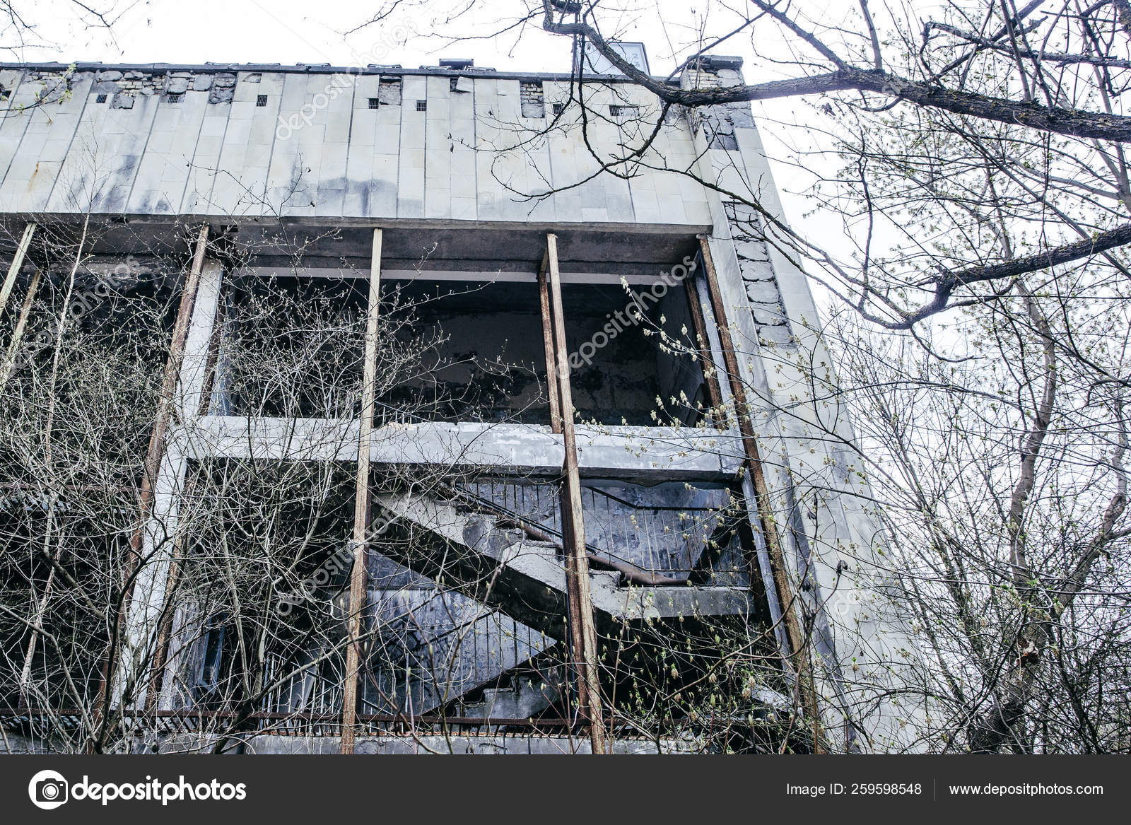 Abandoned Building Overgrown Trees Pripyat Chernobyl Zone Stock Photo ...