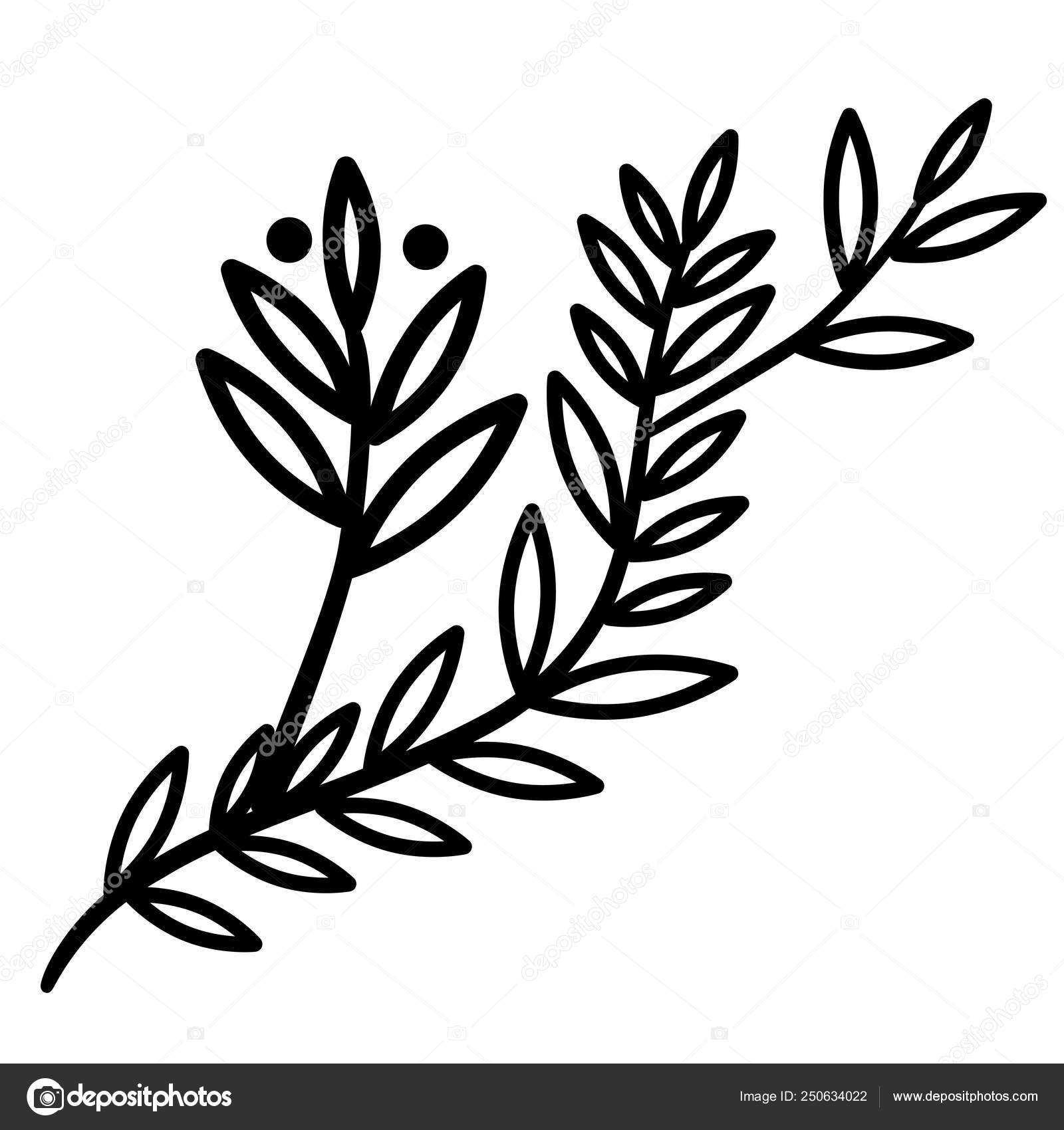 Branch, leaves icon. Line art. White background. Social media icon ...