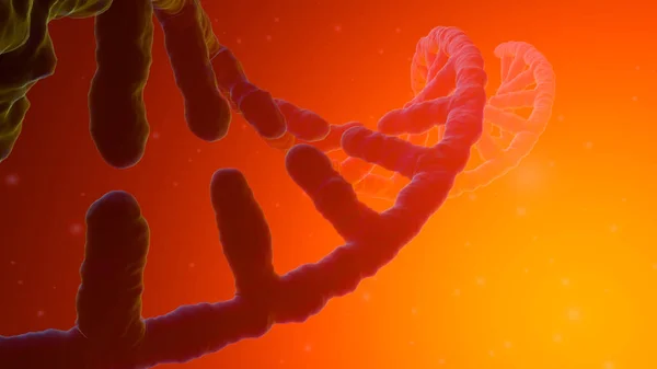 Human cell animation Stock Photos, Royalty Free Human cell animation ...