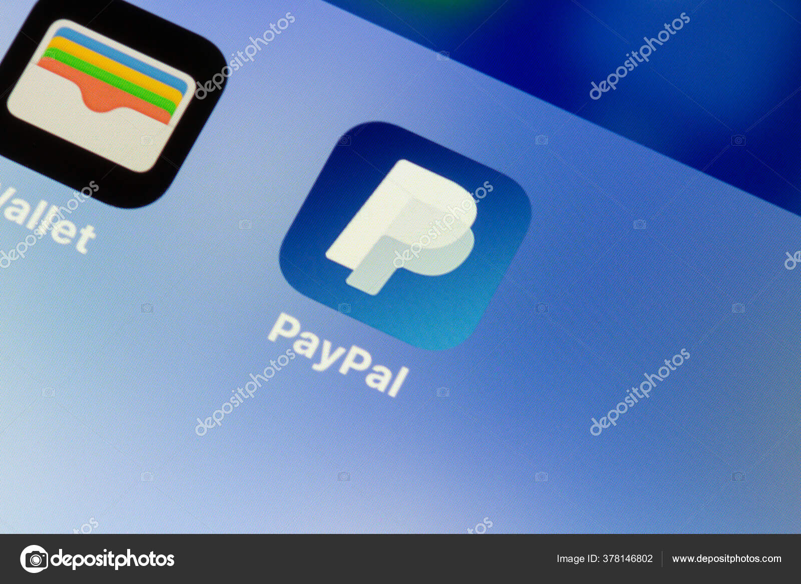 Paypal App Icon Vector