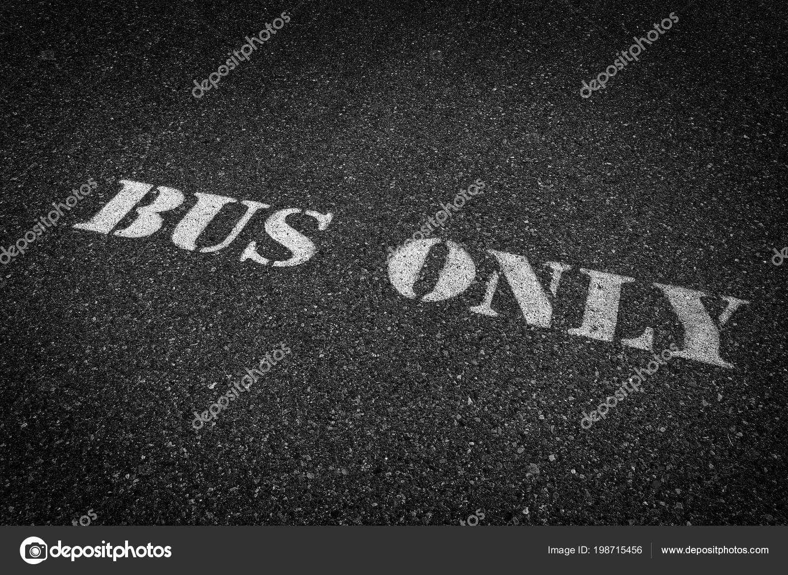 Bus Only Sign Painted White Roadway Asphalt Direction Stock Photo by ...