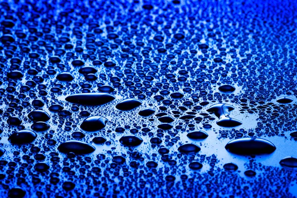 Water mold Stock Photos, Royalty Free Water mold Images | Depositphotos