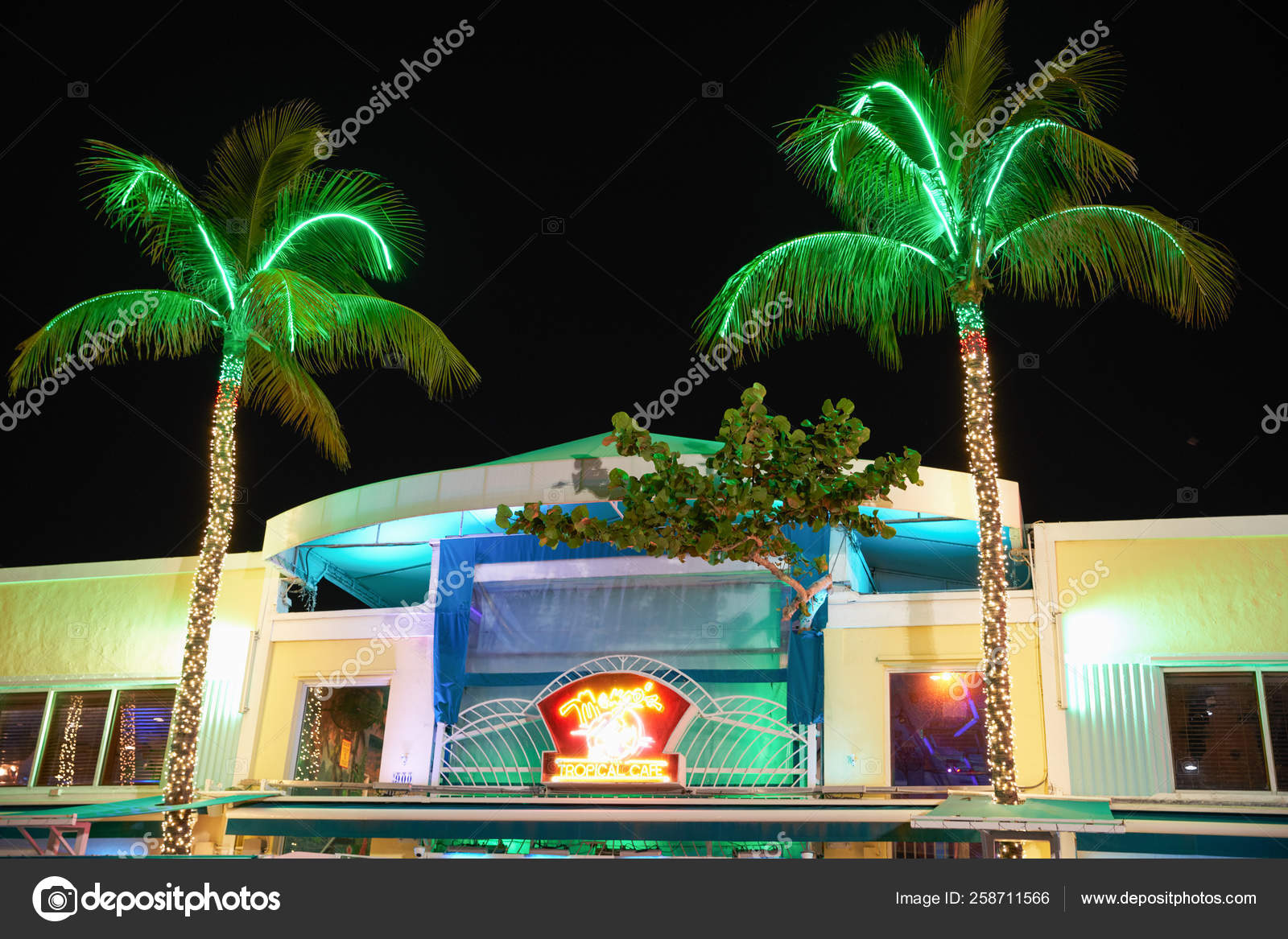 Mangos Tropical Cafe Miami Beach night photo — Stock Editorial Photo ...
