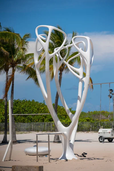 Muscle Beach Miami Photo Palm Trees Background — Stock Photo © felixtm ...