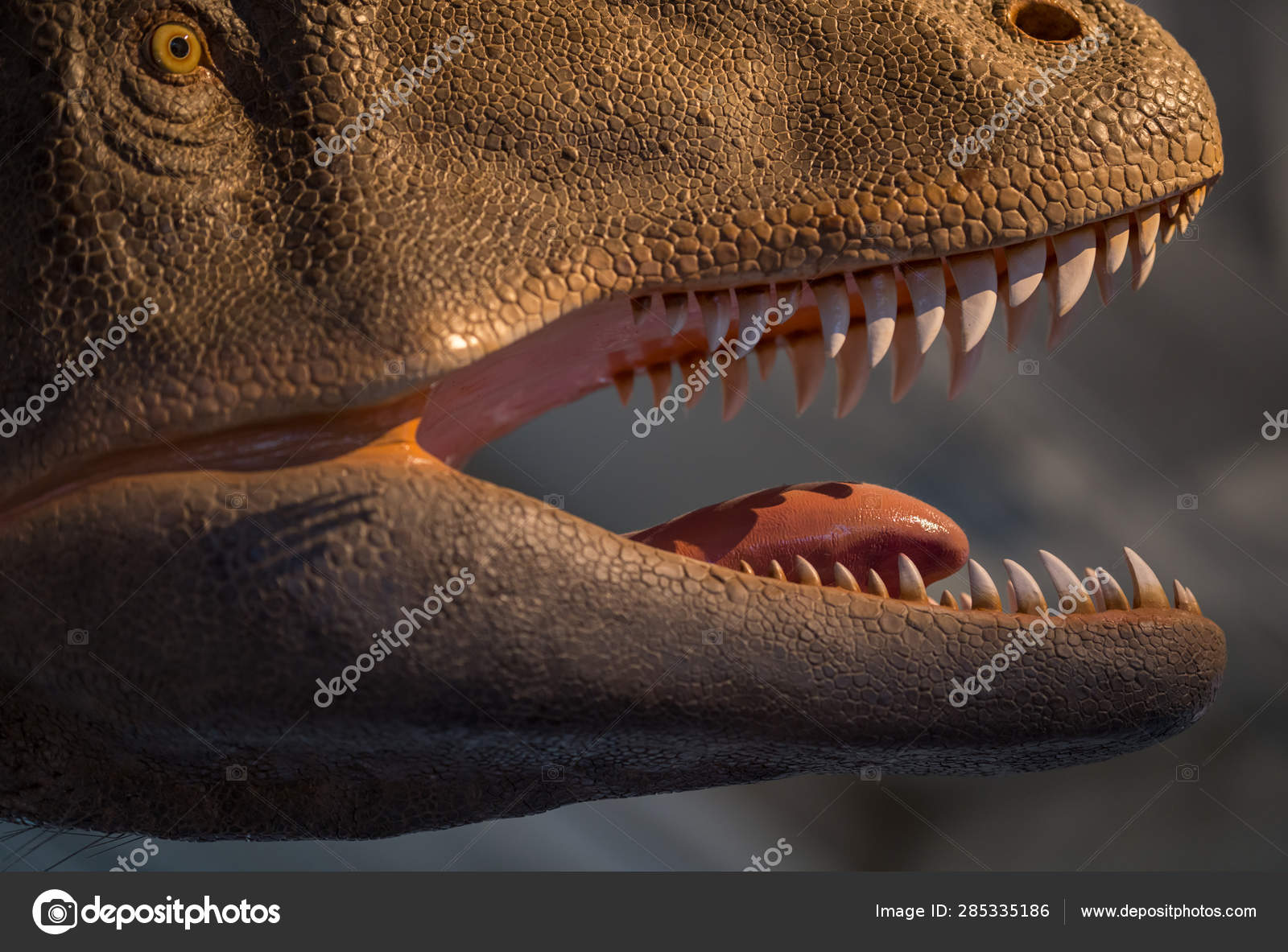 T rex dinosaur teeth sharp and ready to hunt Stock Photo by ©felixtm ...