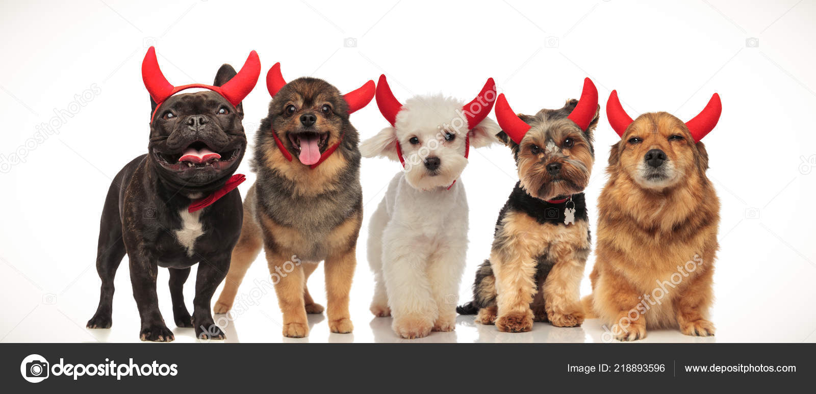 Five Little Cute Dogs Wearing Red Devil Horns Halloween Collage Stock ...