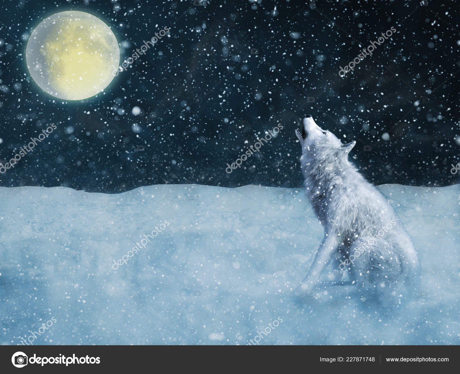 Artic Wolves With Moon