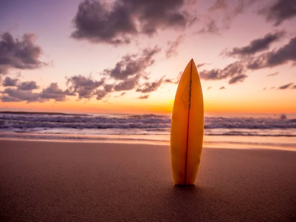 Surfboard Beach Sea Shore Sunset Time Beautiful Light Water Sport Stock ...