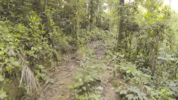 1,866 Ecosistema del suelo Videos, Royalty-free Stock Ecosistema del ...