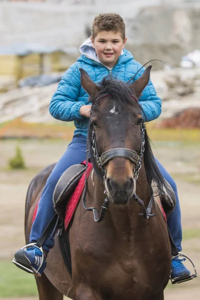 Boy riding horse Stock Photos, Royalty Free Boy riding horse Images ...