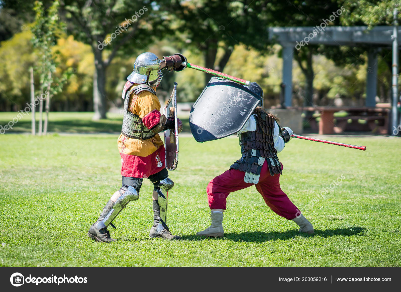 Medieval Knight Sword Fight