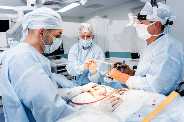 Spinal surgery. Group of surgeons in operating room with surgery ...