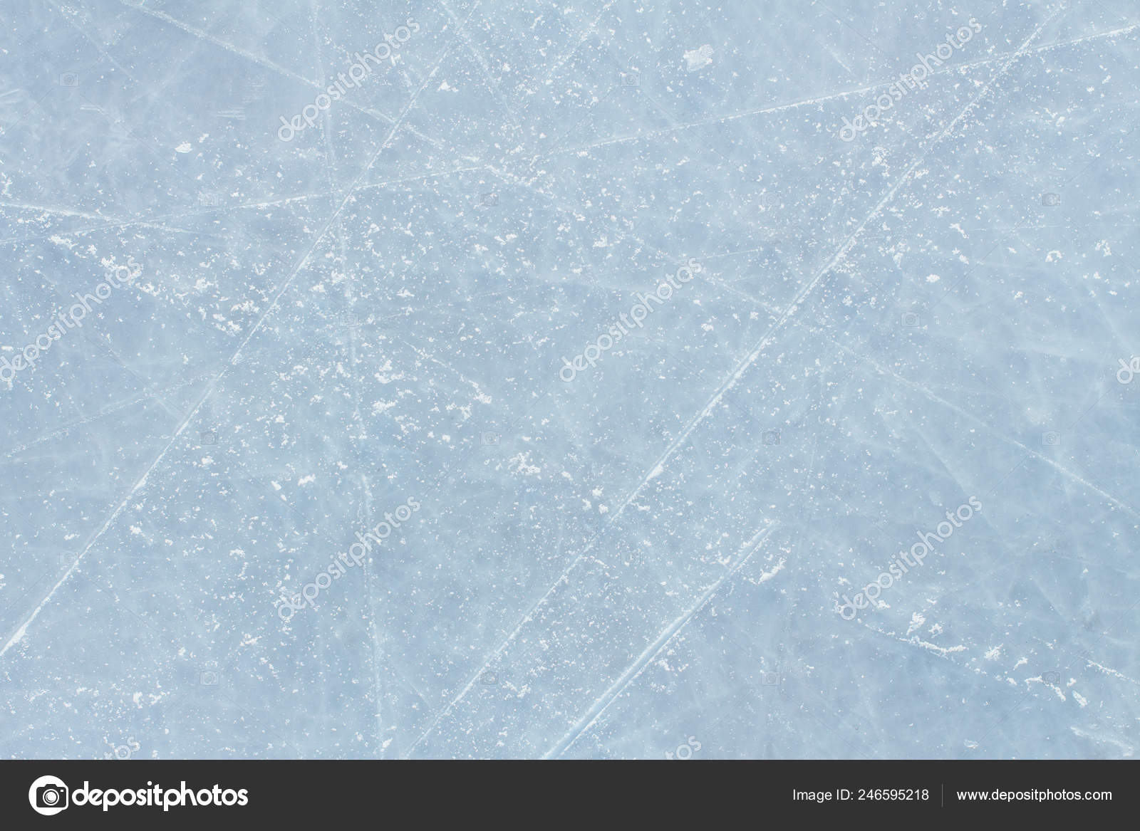Hockey Rink Surface