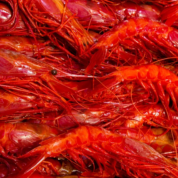 Red background seafood Stock Photos, Royalty Free Red background ...