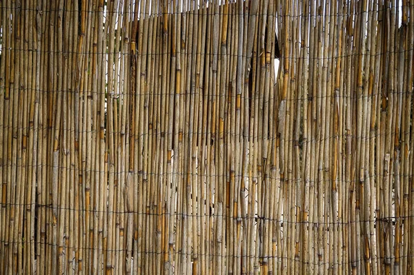 Cane roof texture — Stock Photo © stevanovicigor #19003631