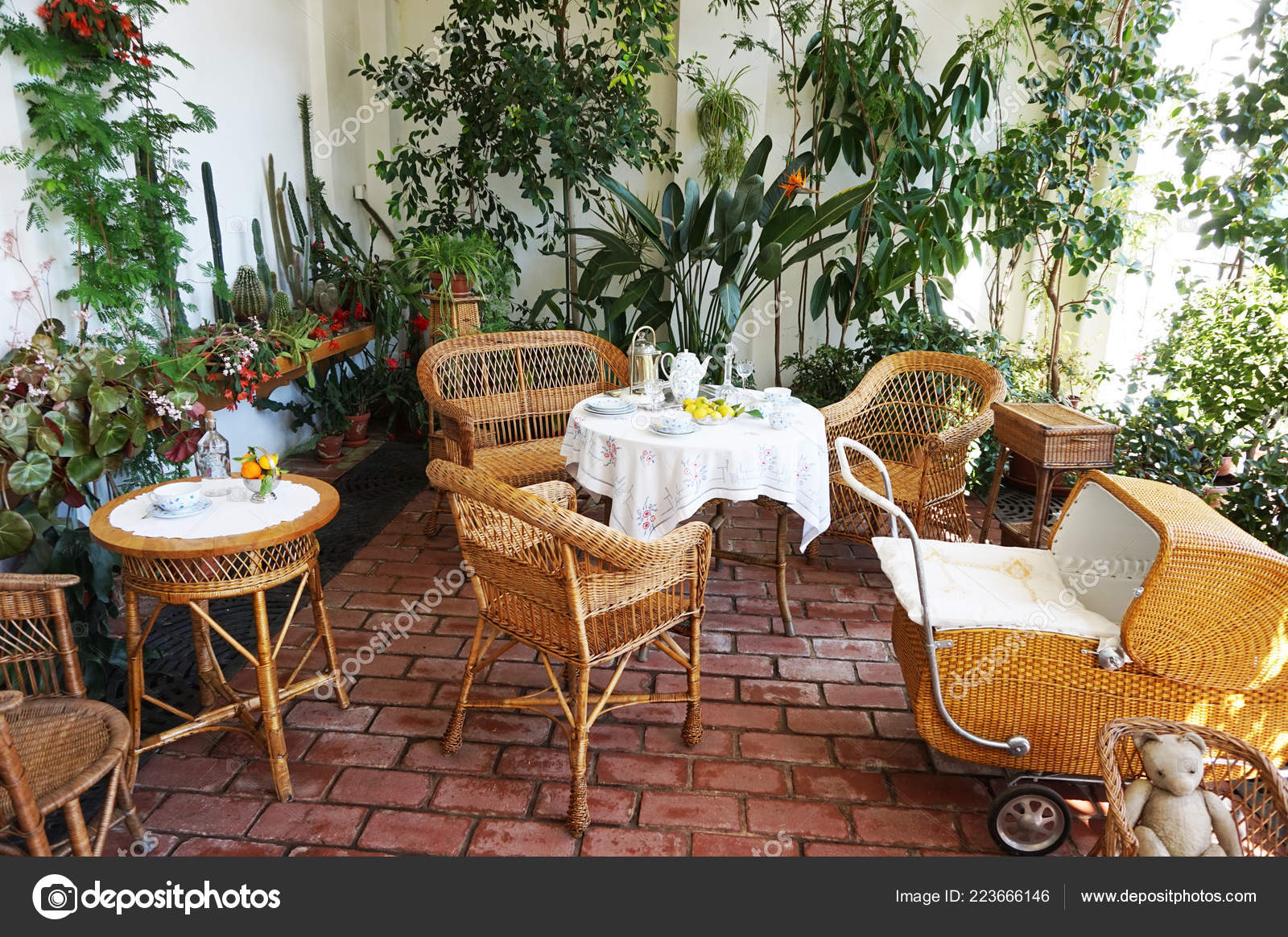 Small Winter Garden Tropical Plants Nice Background Stock Photo by ...