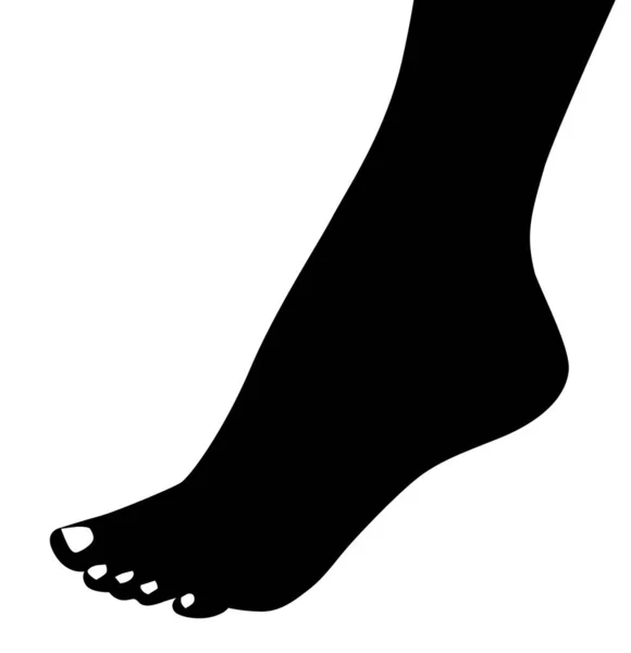 Imágenes de Tapping feet, fotos de Tapping feet sin royalties ...